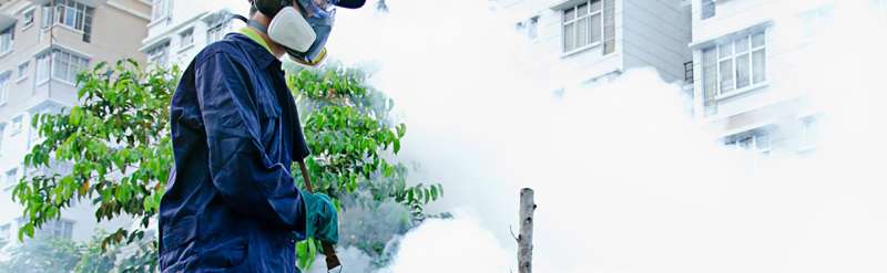 Preventive Pest Control in Tremont Mississippi