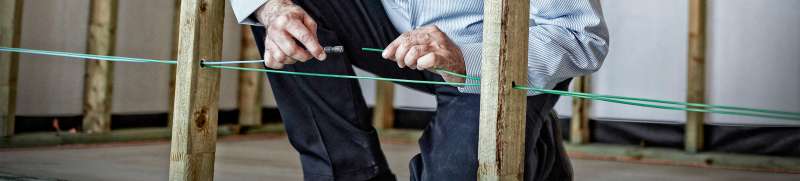 Pest Inspection in Conyers Georgia